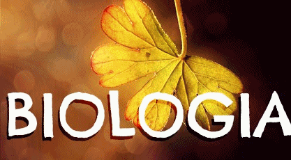 Biología~ :: BigDreams